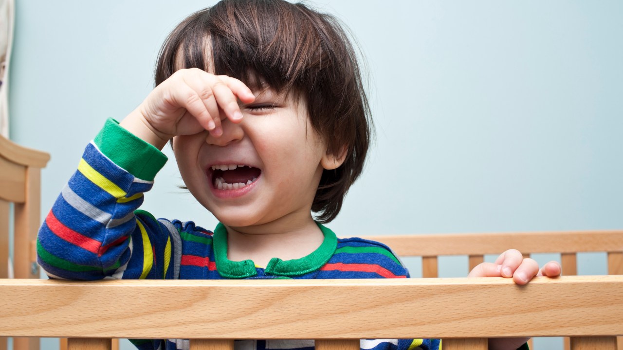 Berrinches: Ocho consejos para manejarlos